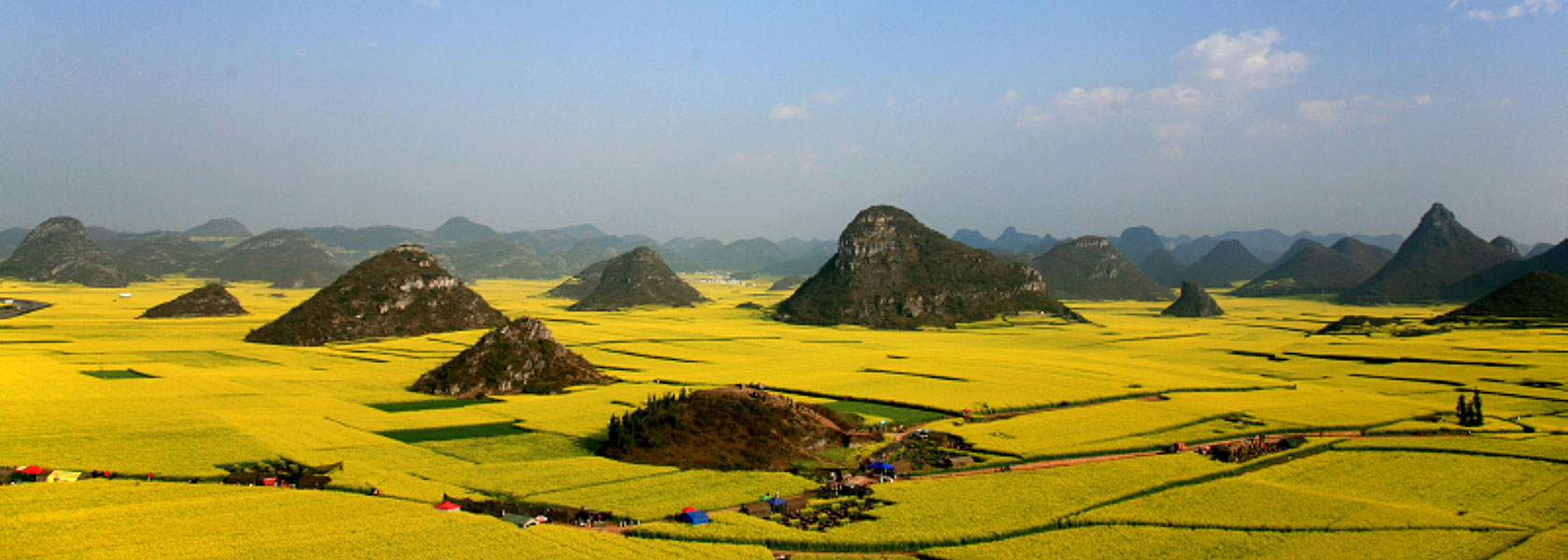 Land Policy Reform — The China Dashboard Winter 2021 — Asia Society ...